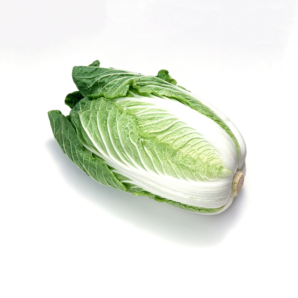 Chinese (Wombok) Cabbage – fruitabella