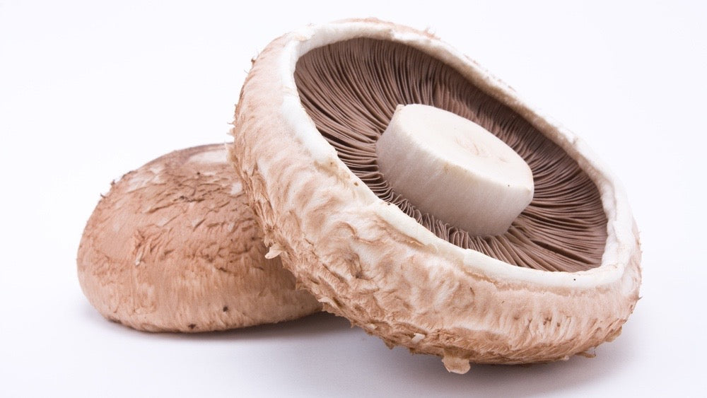Swiss Brown Large Open Mushrooms – fruitabella